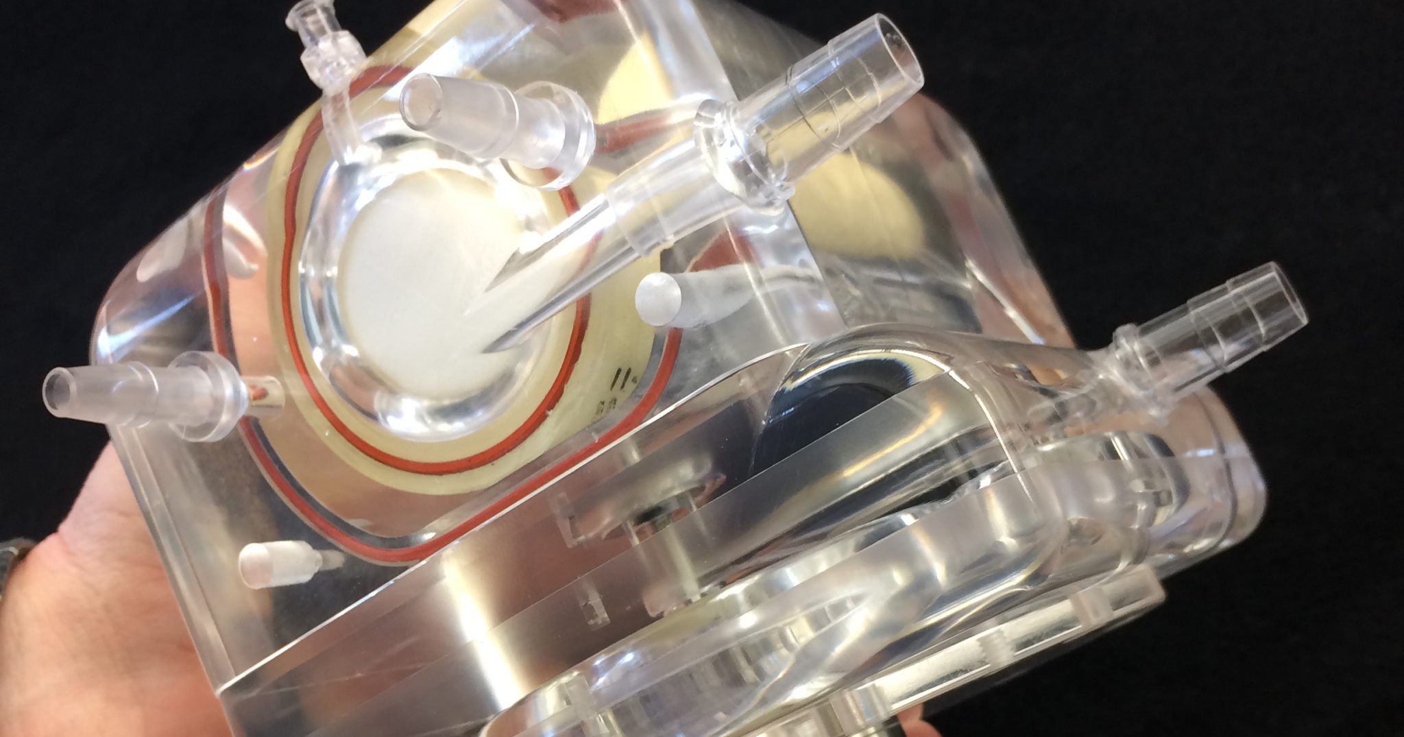 Pitt-Developed Artificial Lung Shows Promise in Animal Model - UPMC ...