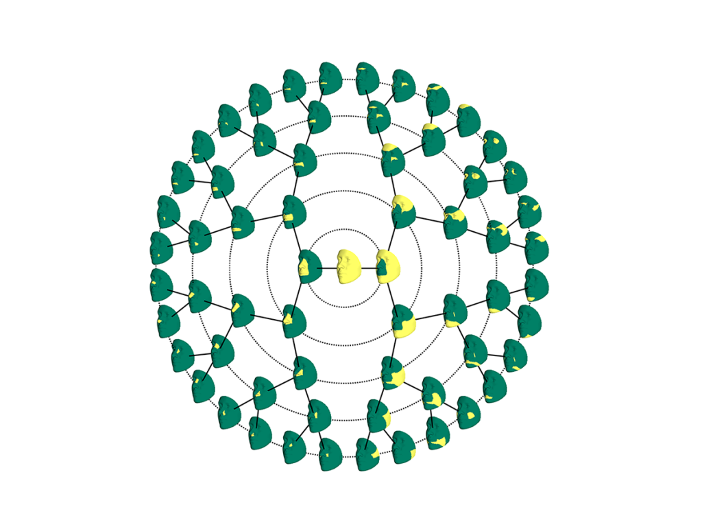 Making Faces: Diving into the Complex Genetics of Facial Appearance ...