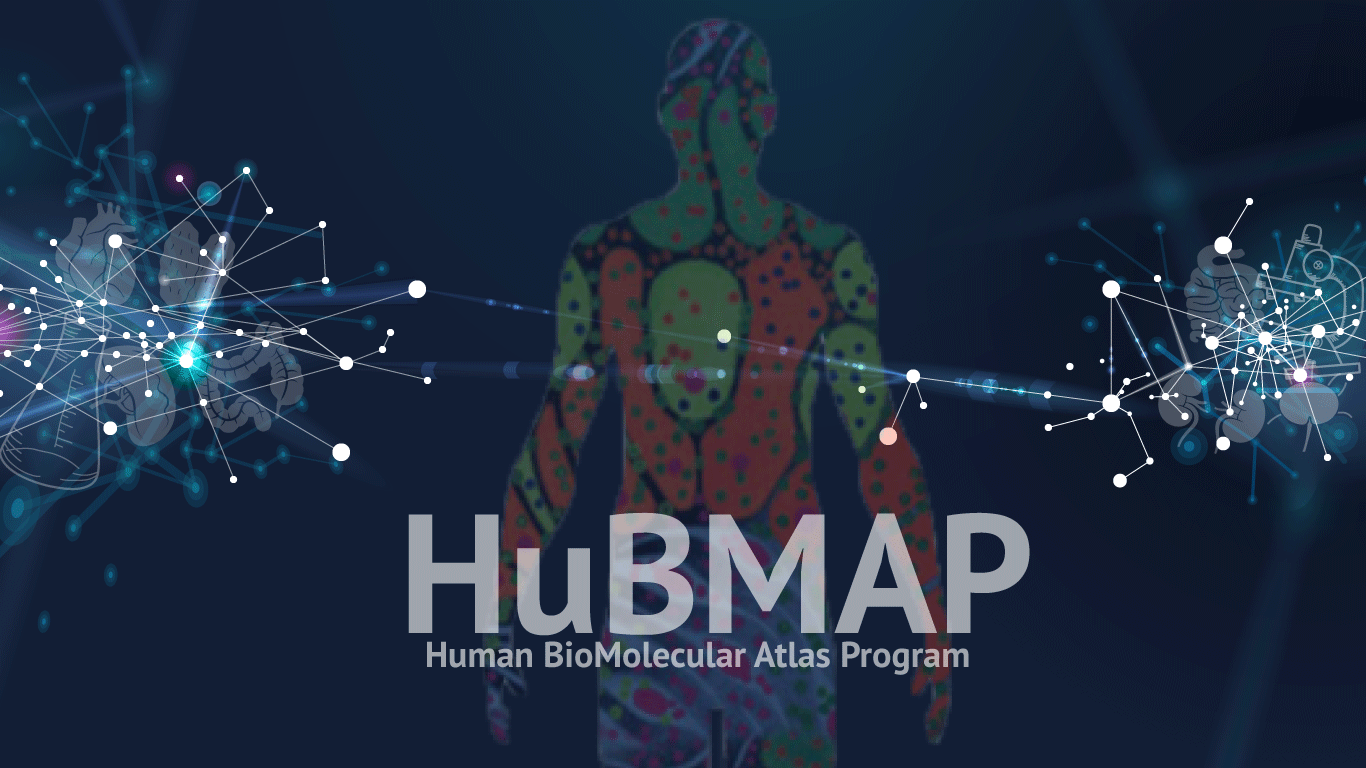 Pitt Helping to Create ‘Atlas’ for Human Body - UPMC & Pitt Health ...