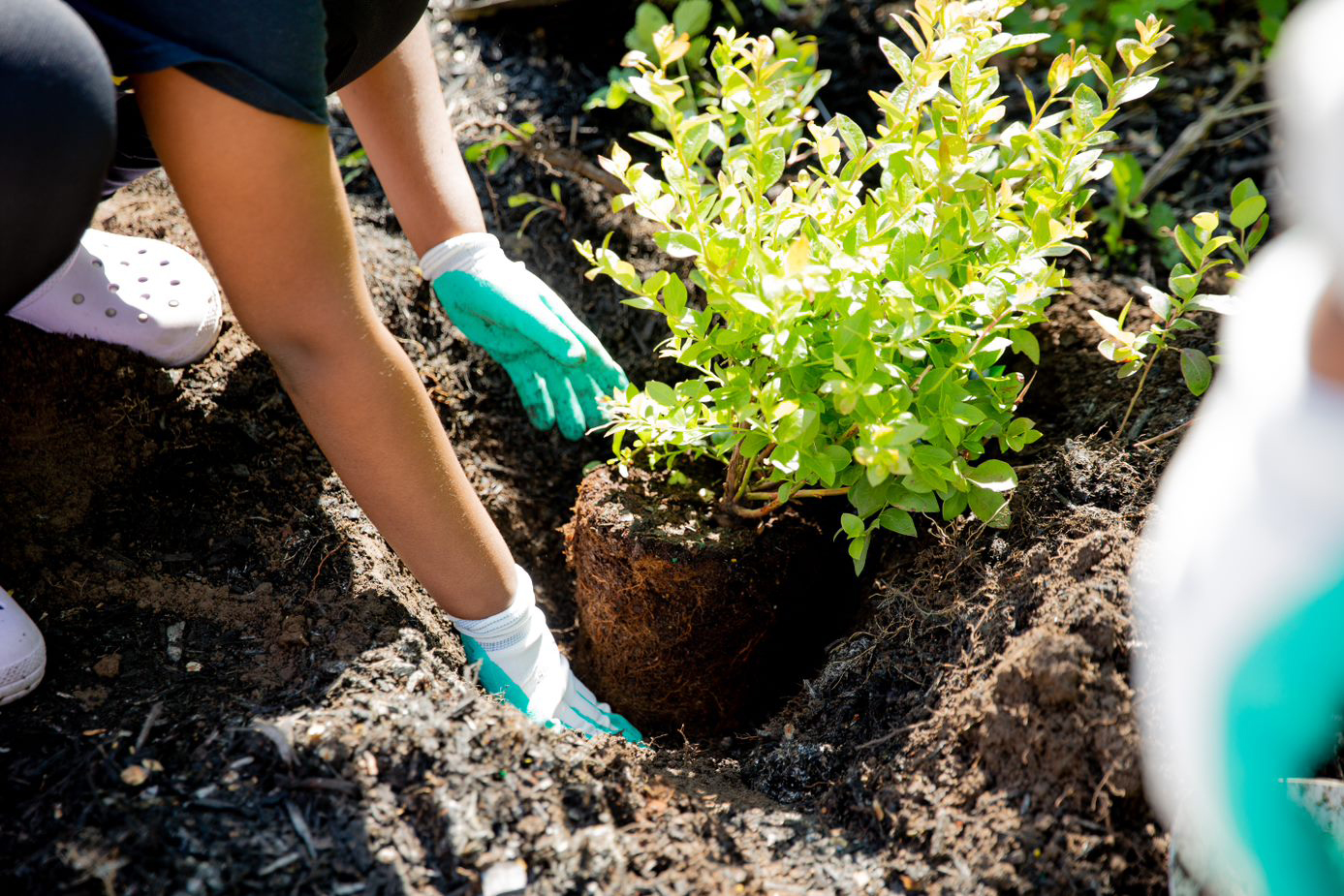 UPMC Matilda Theiss Health Center hosts Community Orchard Planting ...