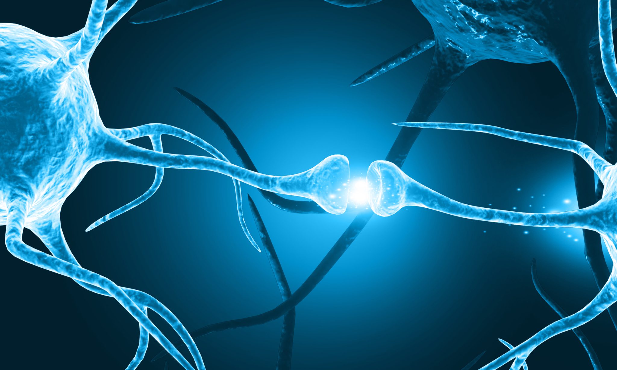 Pitt Scientists Solve Structure of Epilepsy Drug Target in the Brain ...