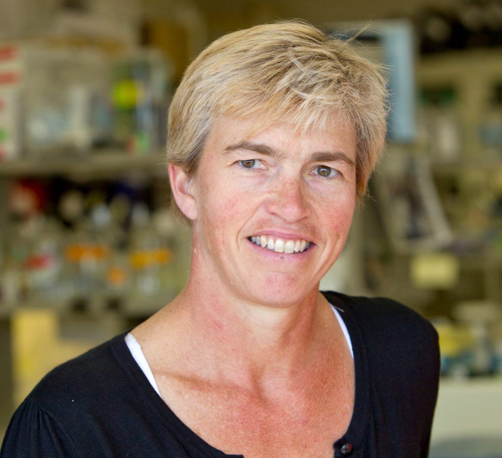 Pitt study suggests new vaccine strategy for tuberculosis: focus on anti-inflammatory response ...