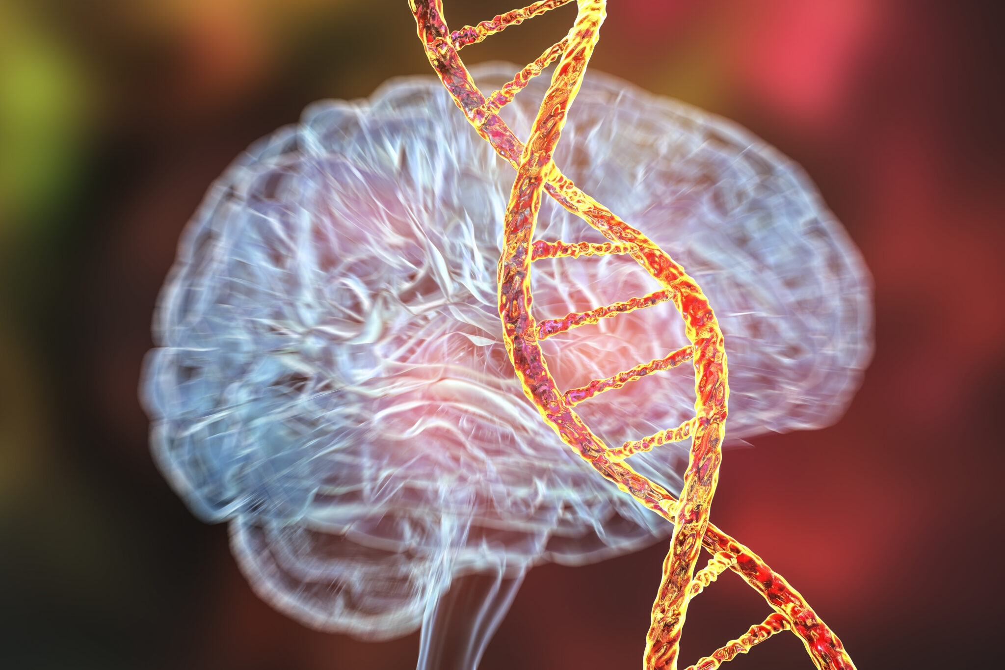 Gene ‘Silencer’ in Junk DNA Prevents Fatal Neurological Disease - UPMC ...